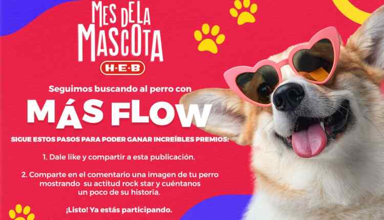 Concurso HEB El Perro con más Flow: Gana premios para tu mascota ...