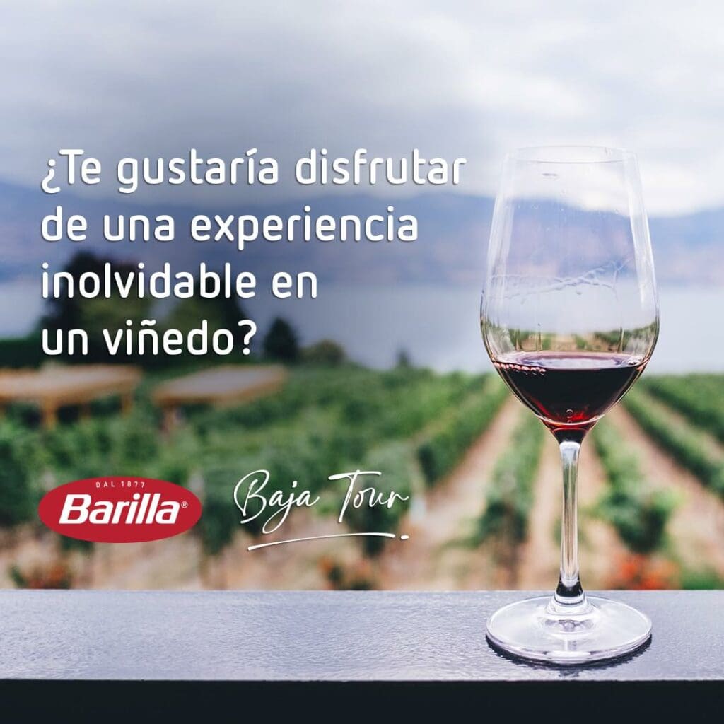 Gana una experiencia gastronómica de la mano del chef Ruffo Ibarra en ...