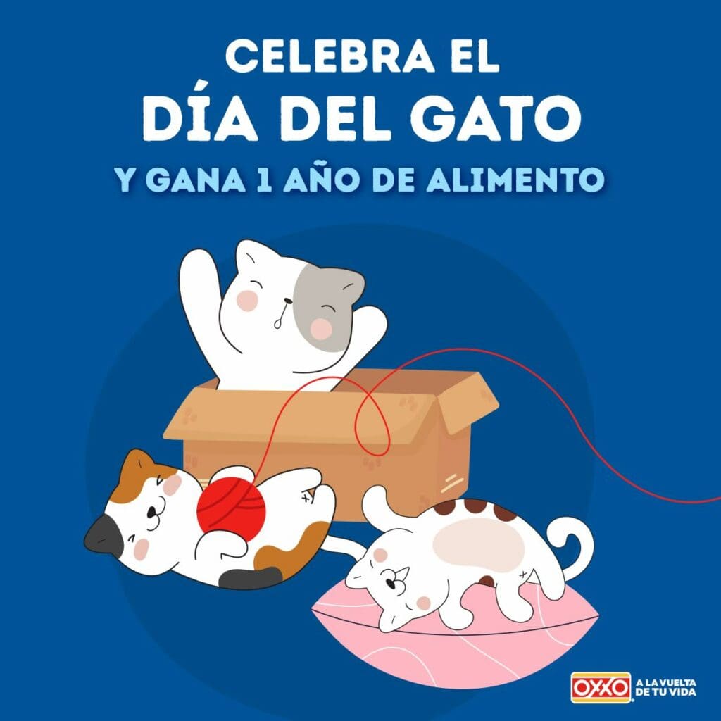 Concurso Oxxo y Purina Día del Gato: Gana 1 de 30 premios de 1 año de ...