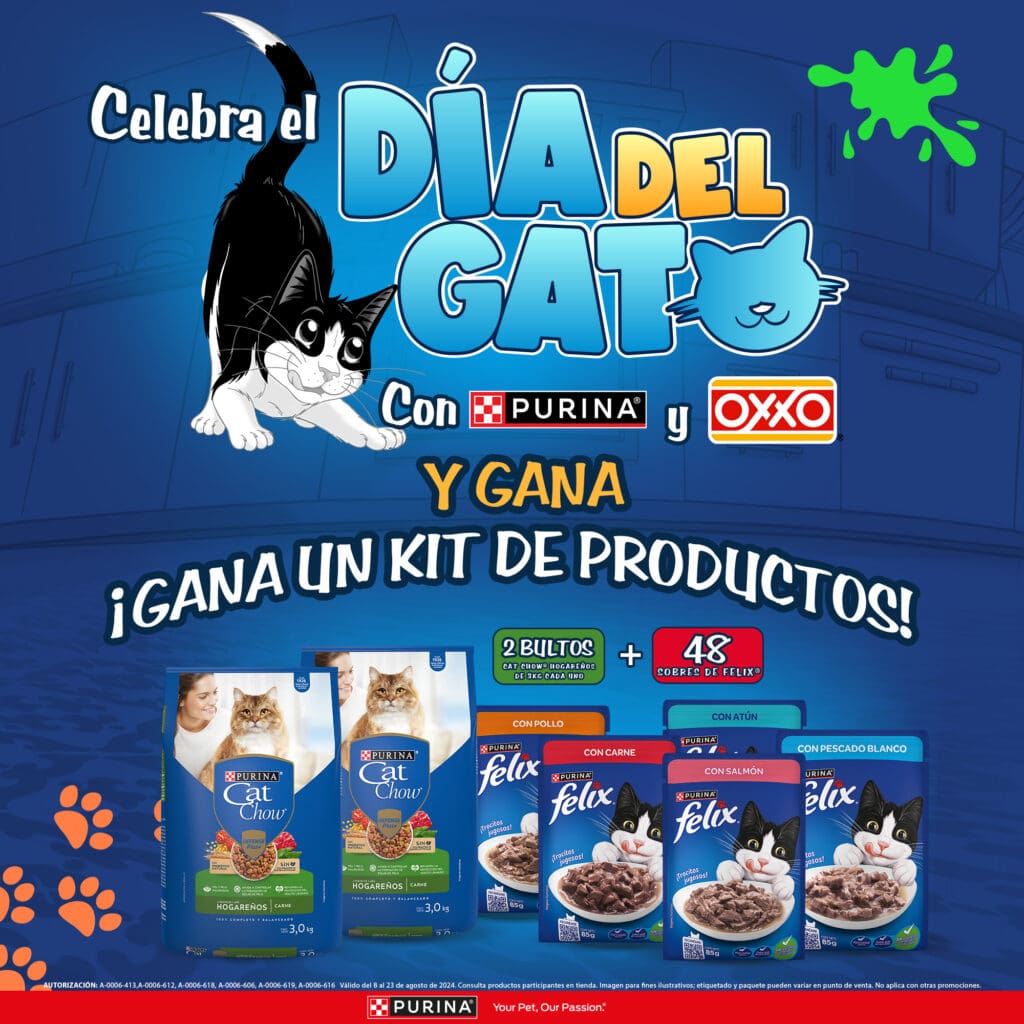 Concurso Oxxo y Purina Día del Gato: Gana 1 de 20 premios de 2 bultos ...